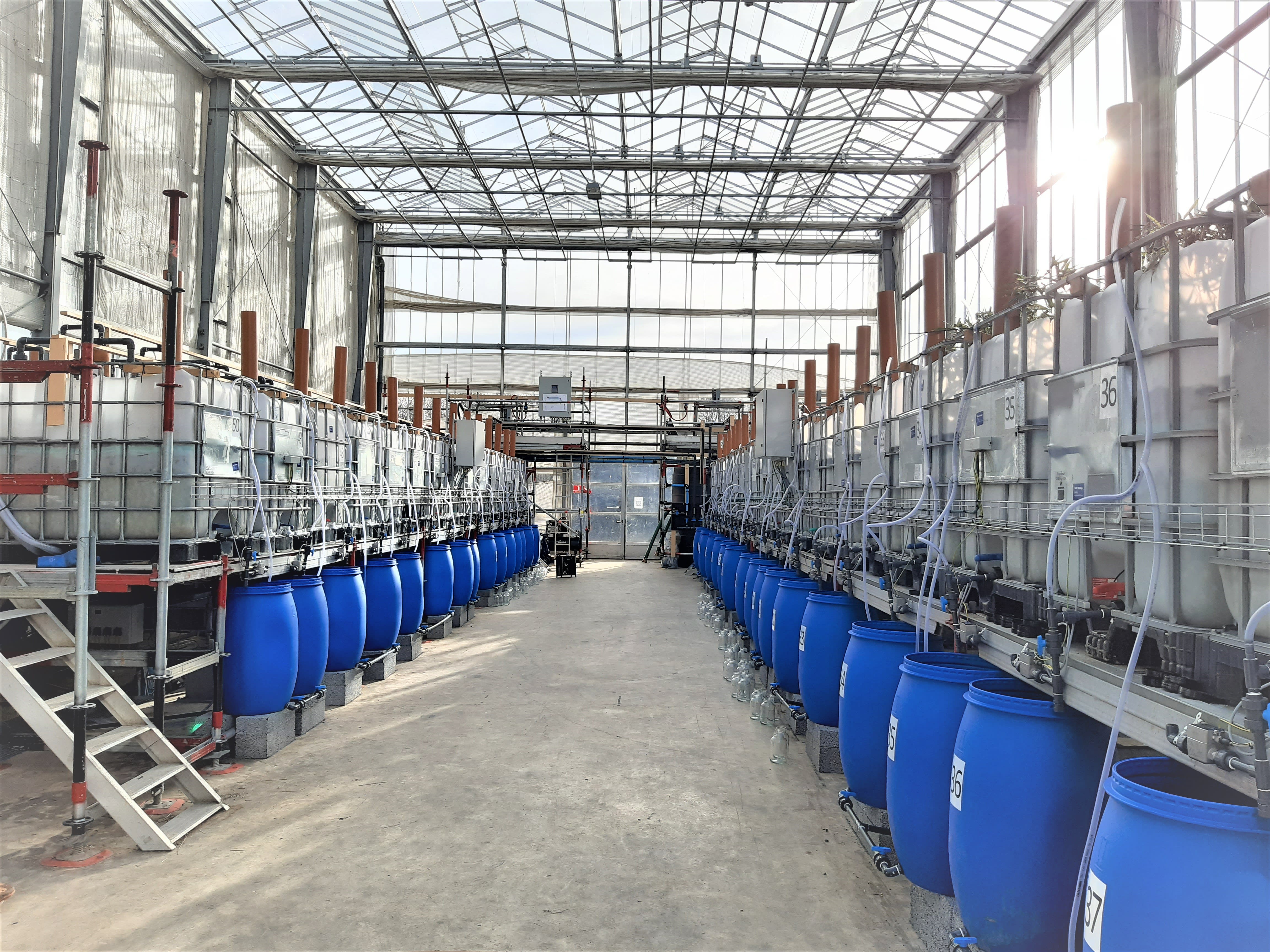 Flow monitoring in a sludge treatment wetland test facility | KROHNE ...