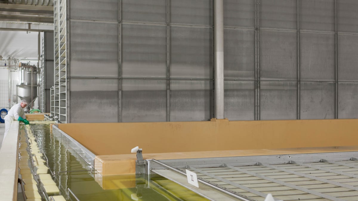 Determining the concentration of salt in cheese production Krohne ...