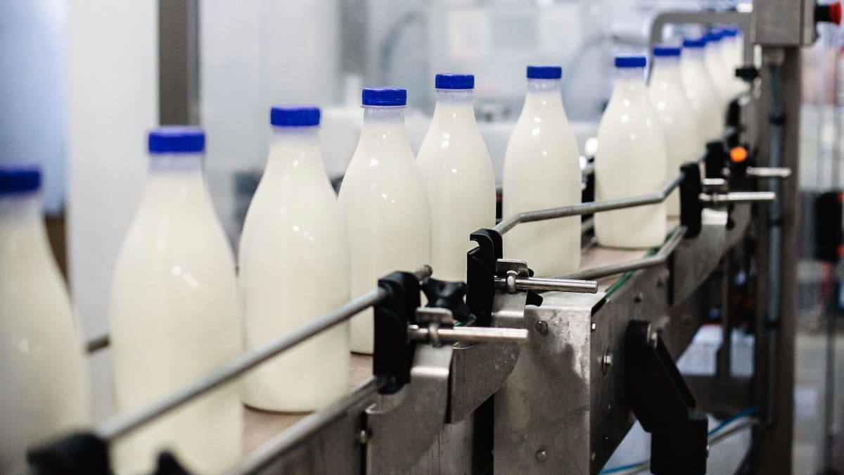 Liquid milk & cream production in the food & beverage industry | KROHNE ...