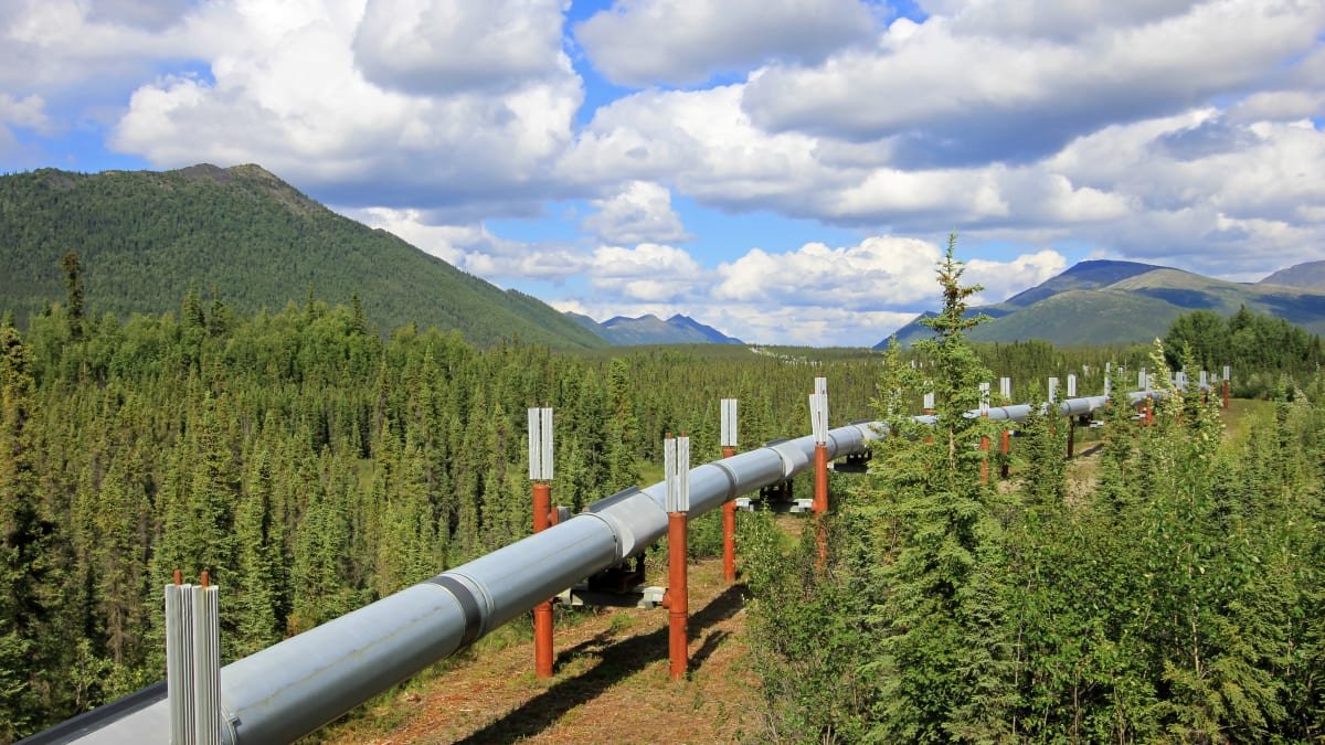 Pipeline line break detection for prevention of environmental crises ...
