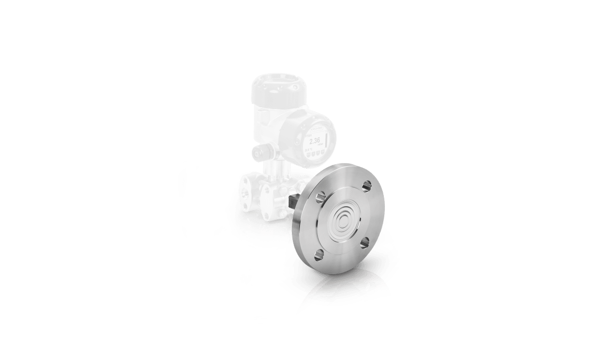 OPTIBAR DSD 3100 With flange design and optional extension | KROHNE Group